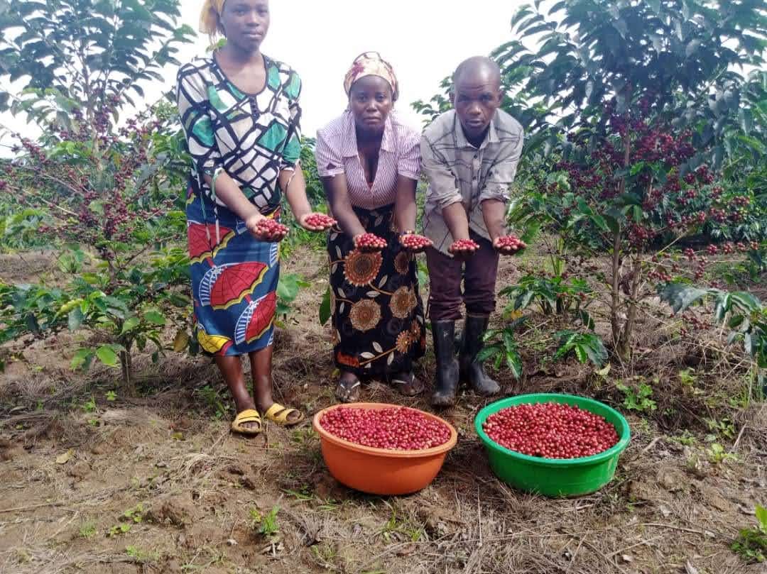 Seeding Progress Harvesting Inclusive Prosperity | Giveth