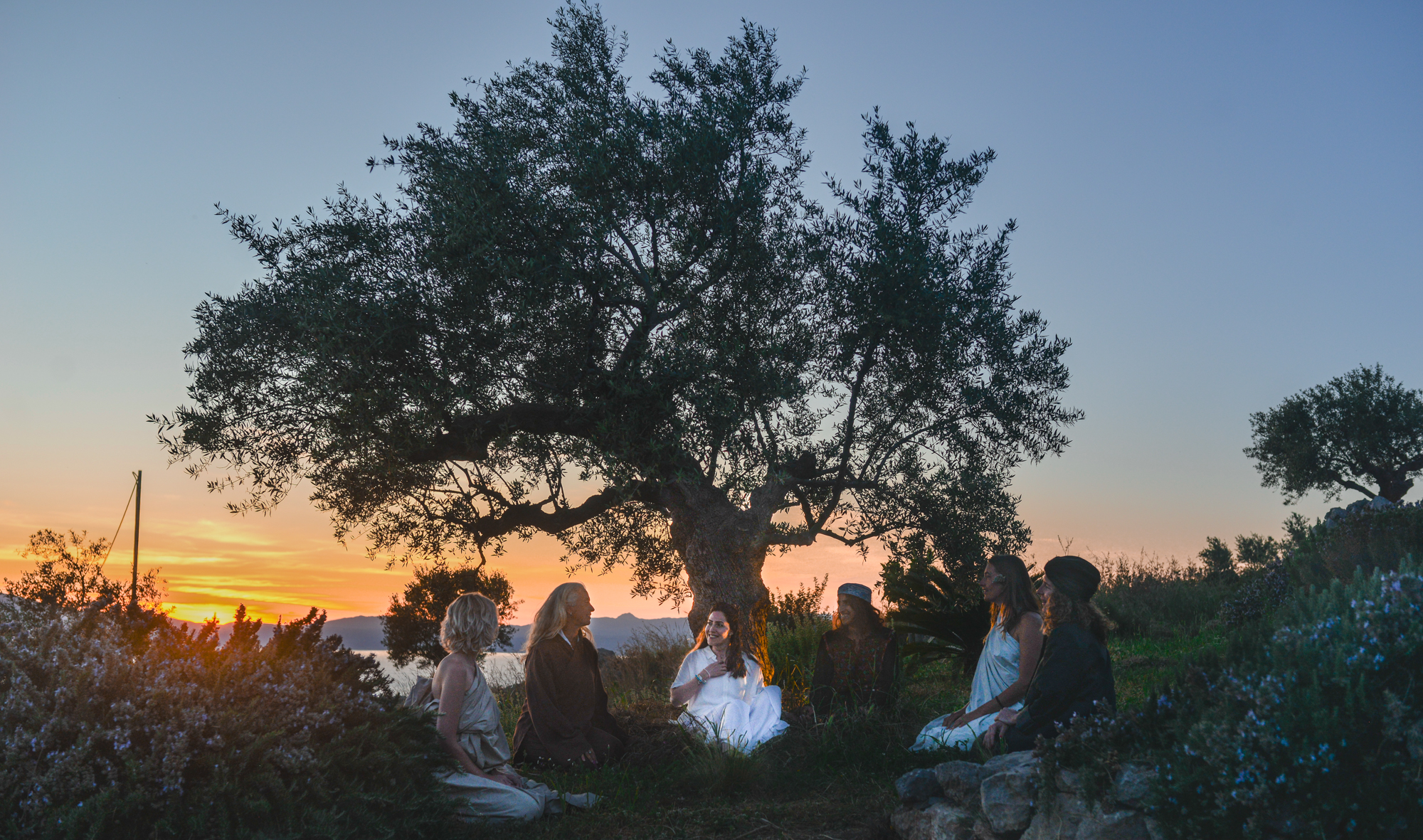 Peace Activation Spring Workshop & Retreat | Giveth