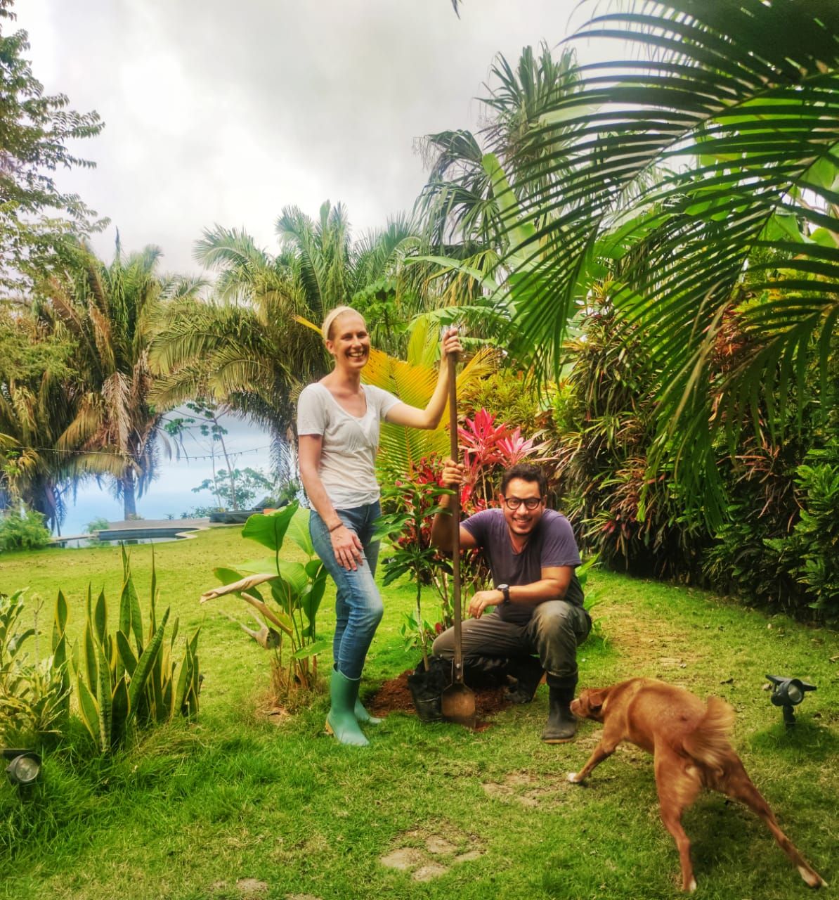 A Tree For Colombia | Giveth