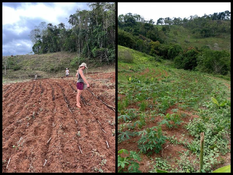 AgroforestDAO | Giveth